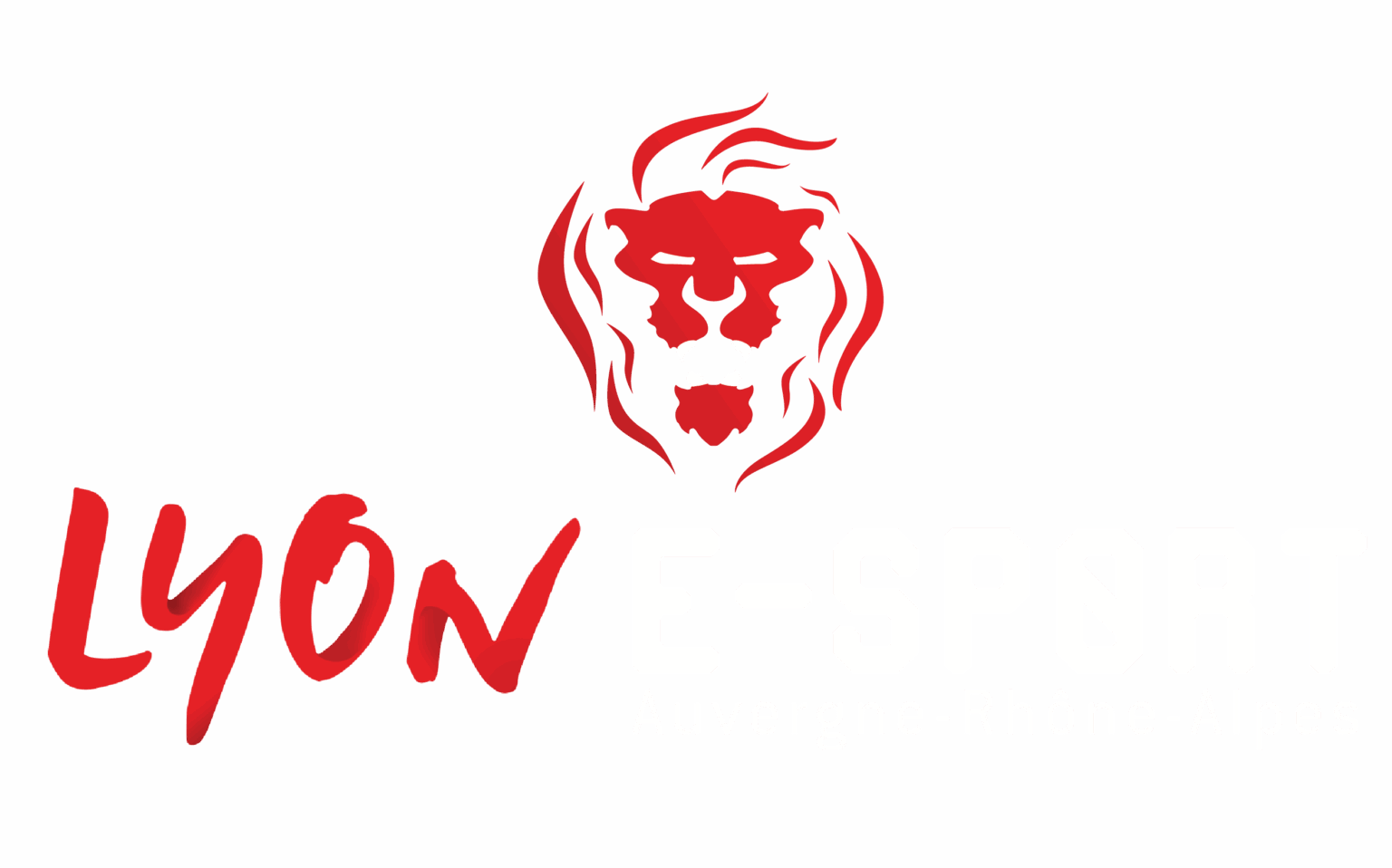 Accueil - Lyon e-Sport